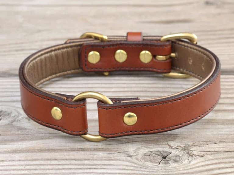 O-RING LEATHER LEASH – CALIFORNIA COLLAR CO.