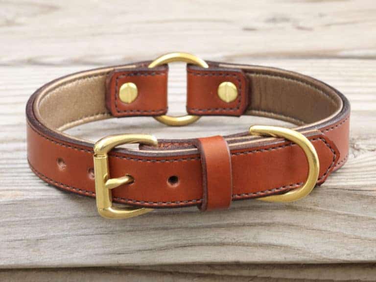O-RING leather dog collar | CALIFORNIA COLLAR CO.